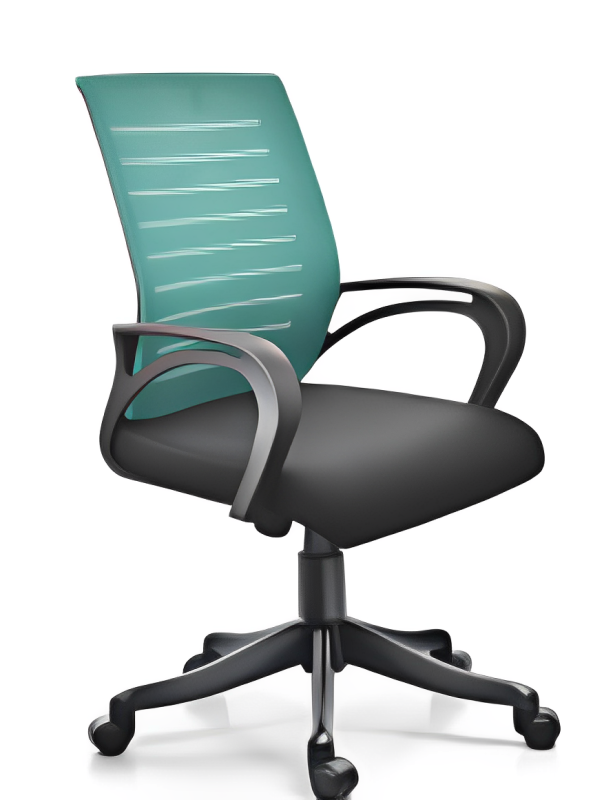 Low Back Executive Chair with Nylon Base